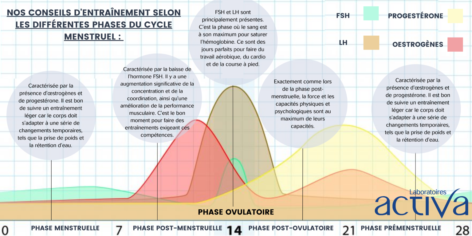 NOS CONSEILS D'ENTRAÎNEMENT SELON LES DIFFÉRENTES PHASES DU CYCLE ...
